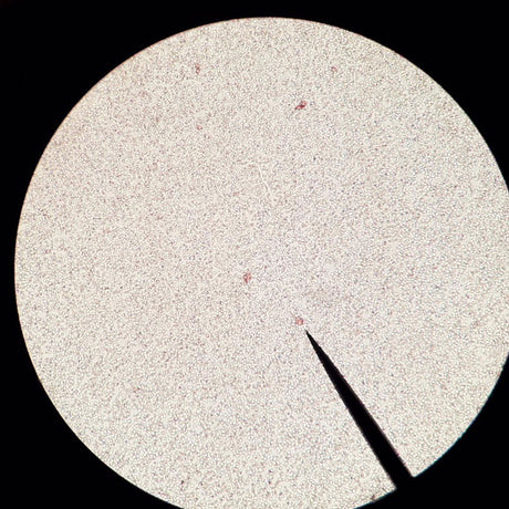 Building Moderate Complexity Laboratories – Lab Advise Experts